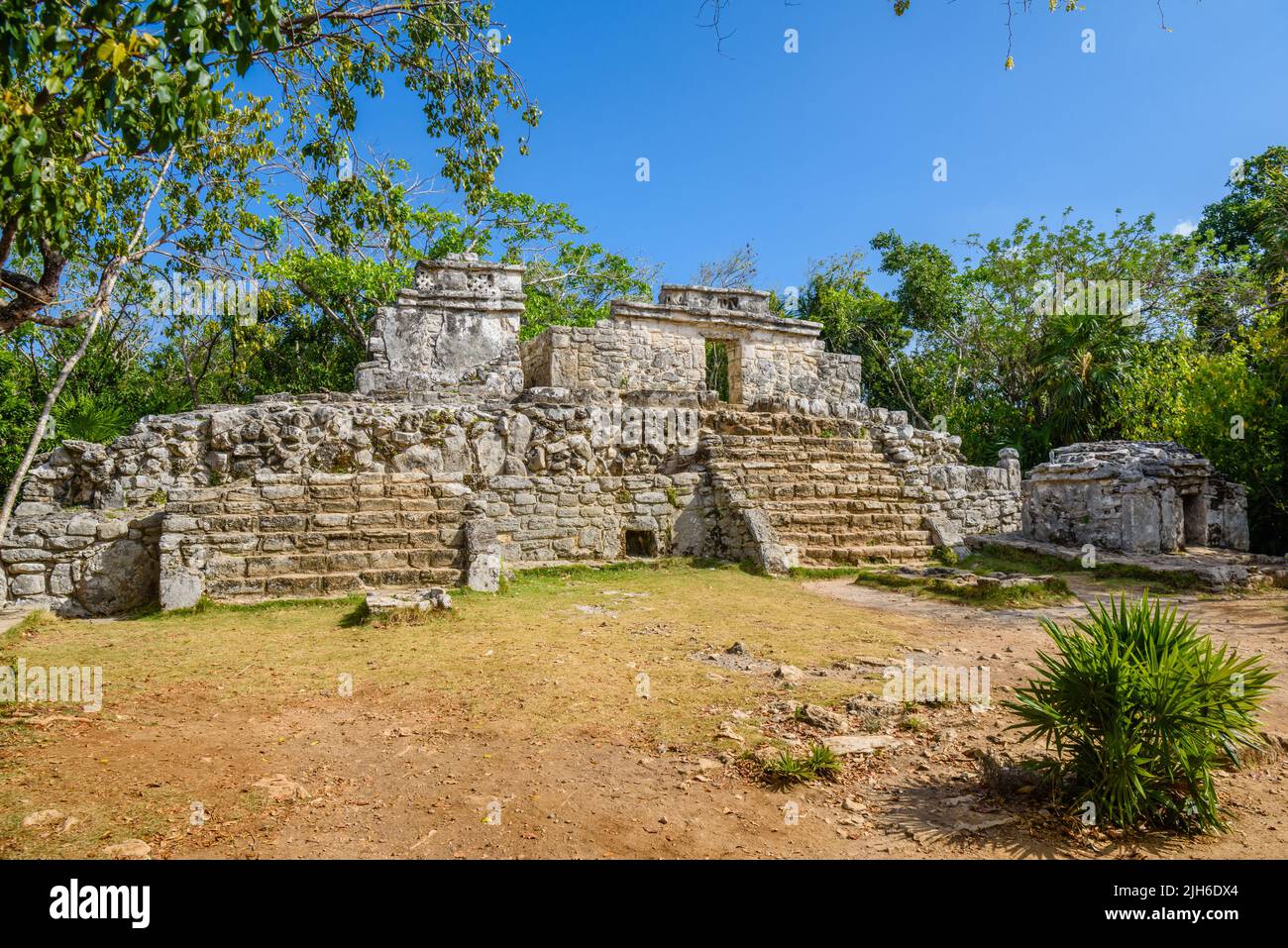 Mayan ruins in shadow of trees in jungle tropical forest Playa del ...