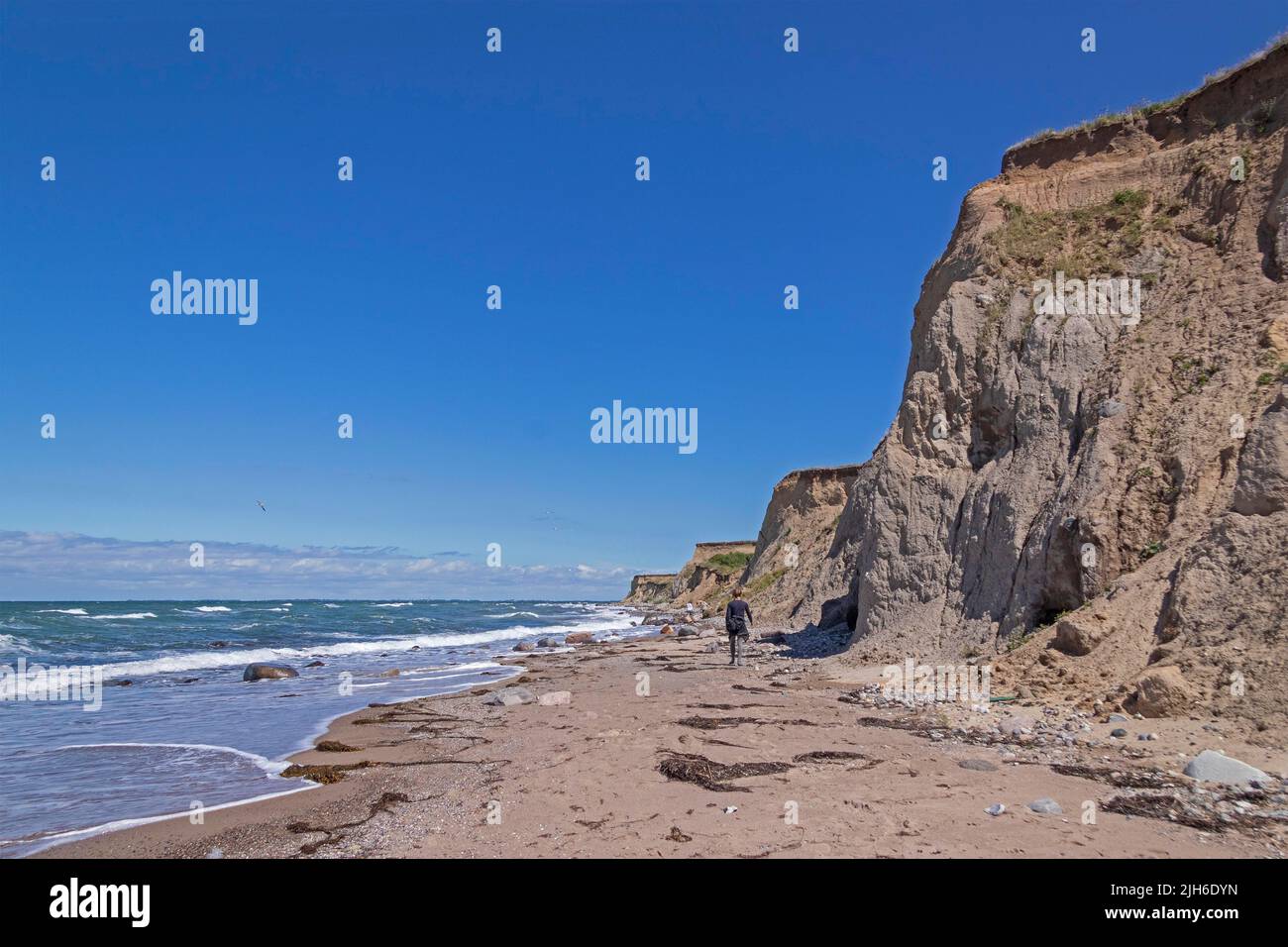 Beach, steep coast, Heiligenhafen, Schleswig-Holstein, Germany Stock ...
