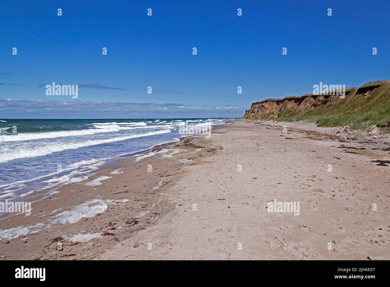 Beach, steep coast, Heiligenhafen, Schleswig-Holstein, Germany Stock ...