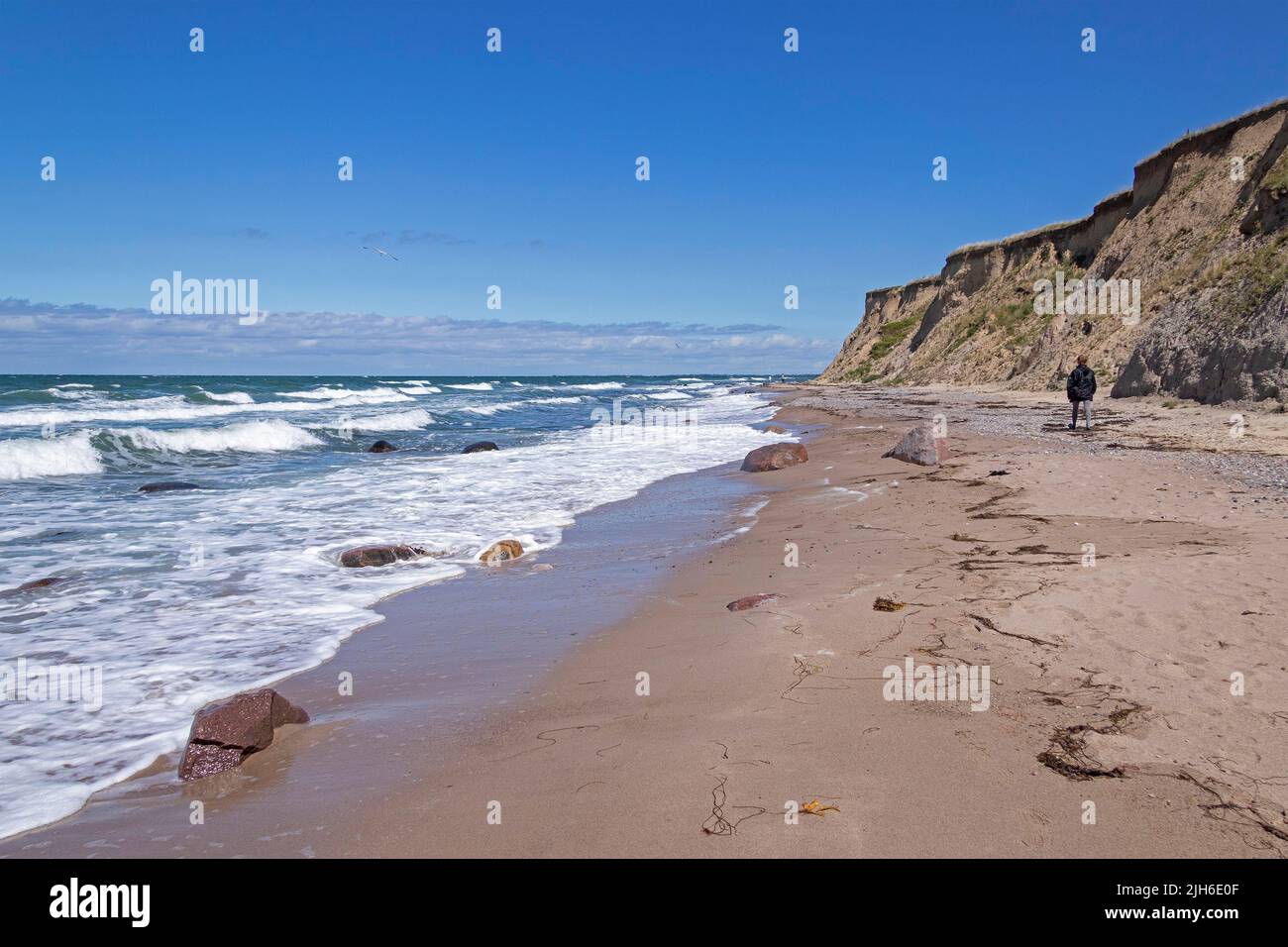 Beach, steep coast, Heiligenhafen, Schleswig-Holstein, Germany Stock ...