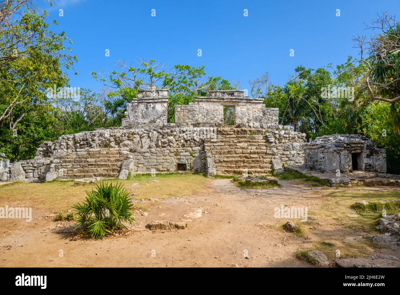 Mayan ruins in shadow of trees in jungle tropical forest Playa del ...