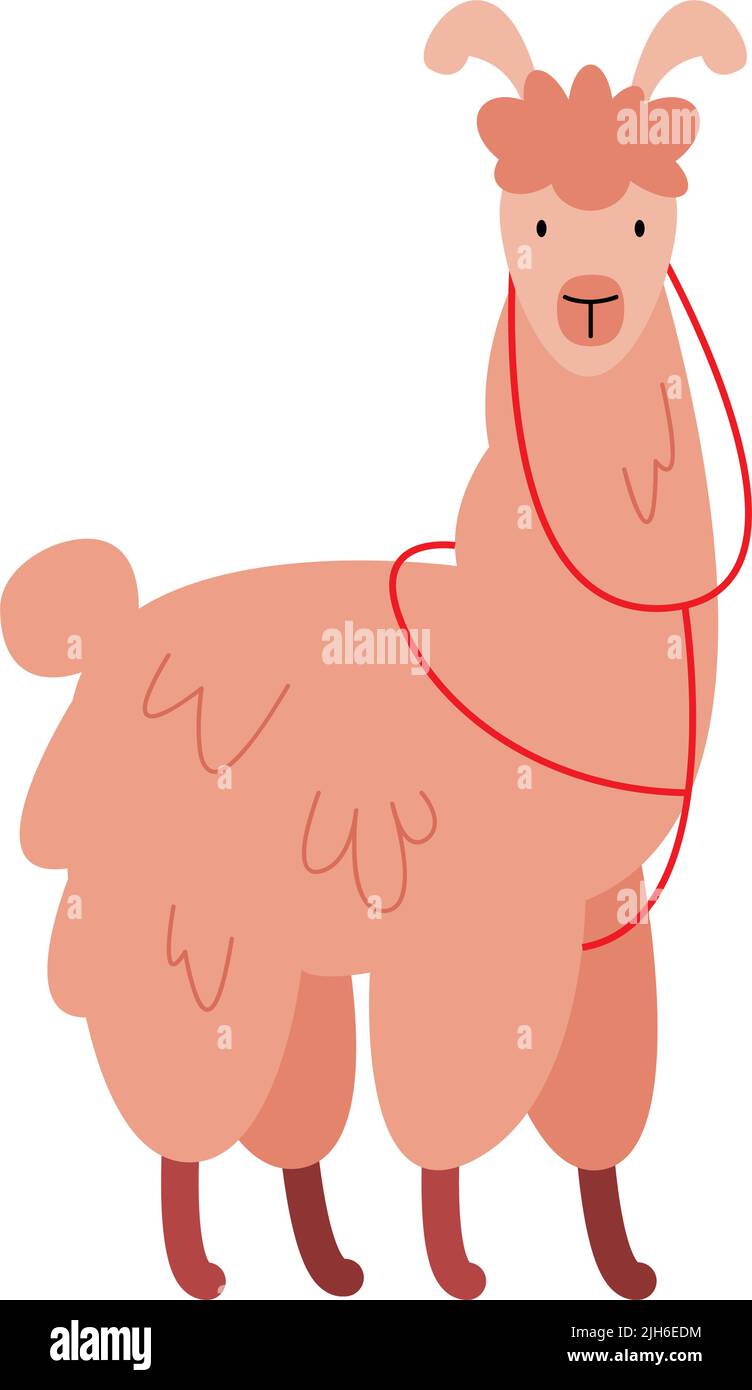 Orange lama Stock Vector Images - Alamy