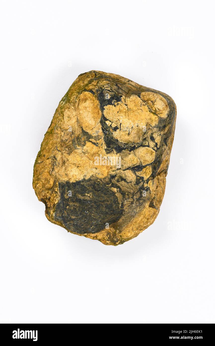 Boulder, stone, cropped, white background, studio shot Stock Photo - Alamy