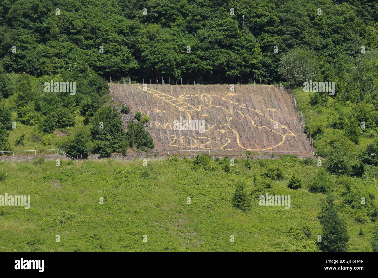 Garden art in 2022 in the vineyards in the Mesenicher Goldgruebchen ...