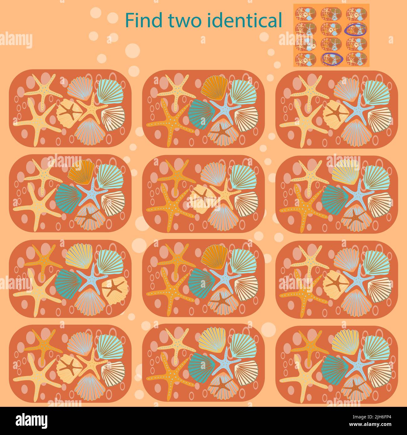 Shell pictures Stock Vector Images - Alamy