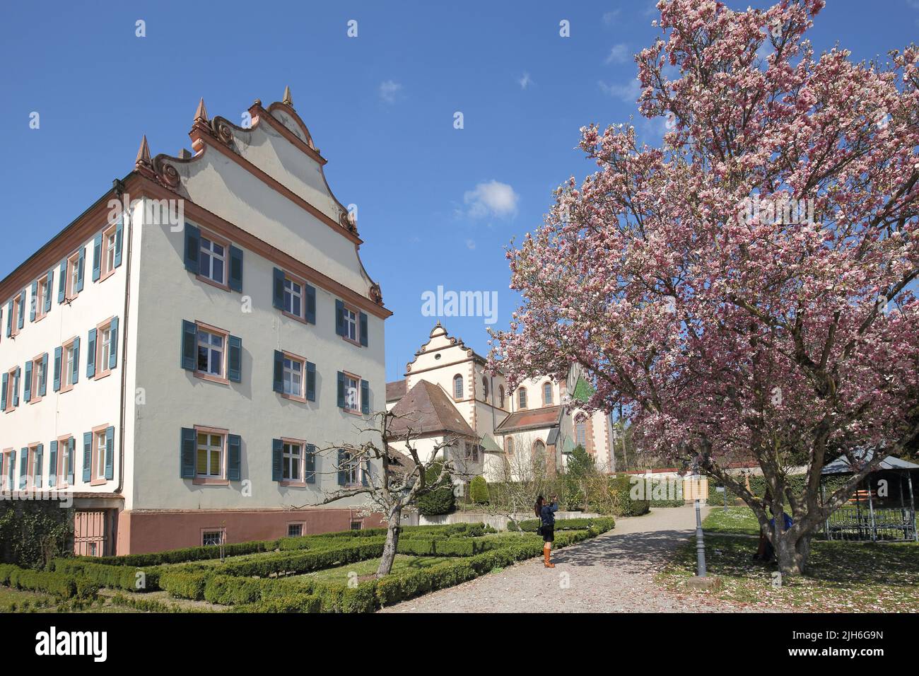 Building with tail gable and blossoming magnolia at the town church St ... Building with tail gable and blossoming magnolia at the town church St ...