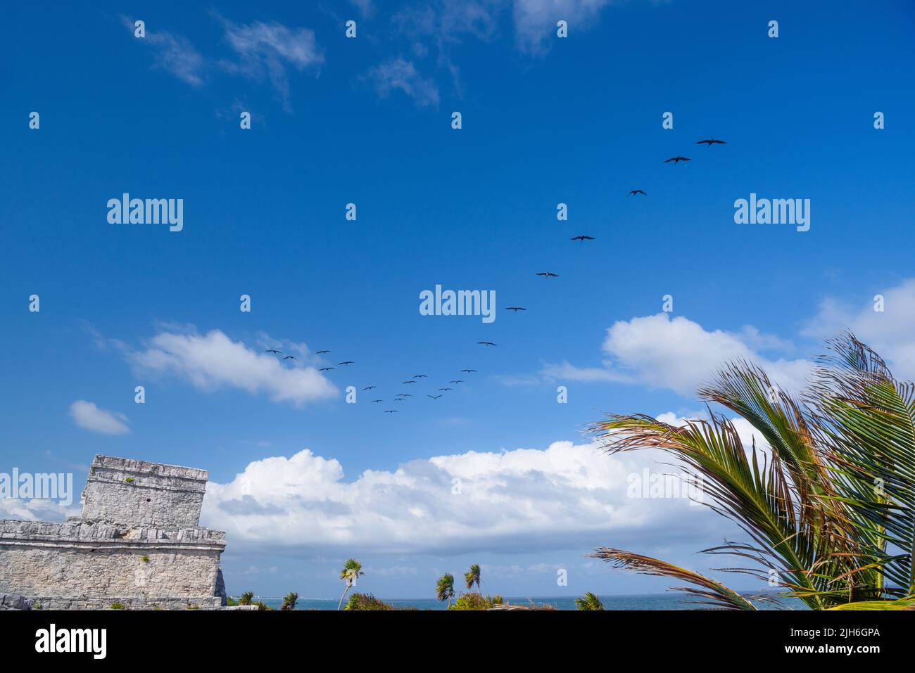 Flock of seagulls near Mayan Ruins in Tulum, Riviera Maya, Yucatan ...
