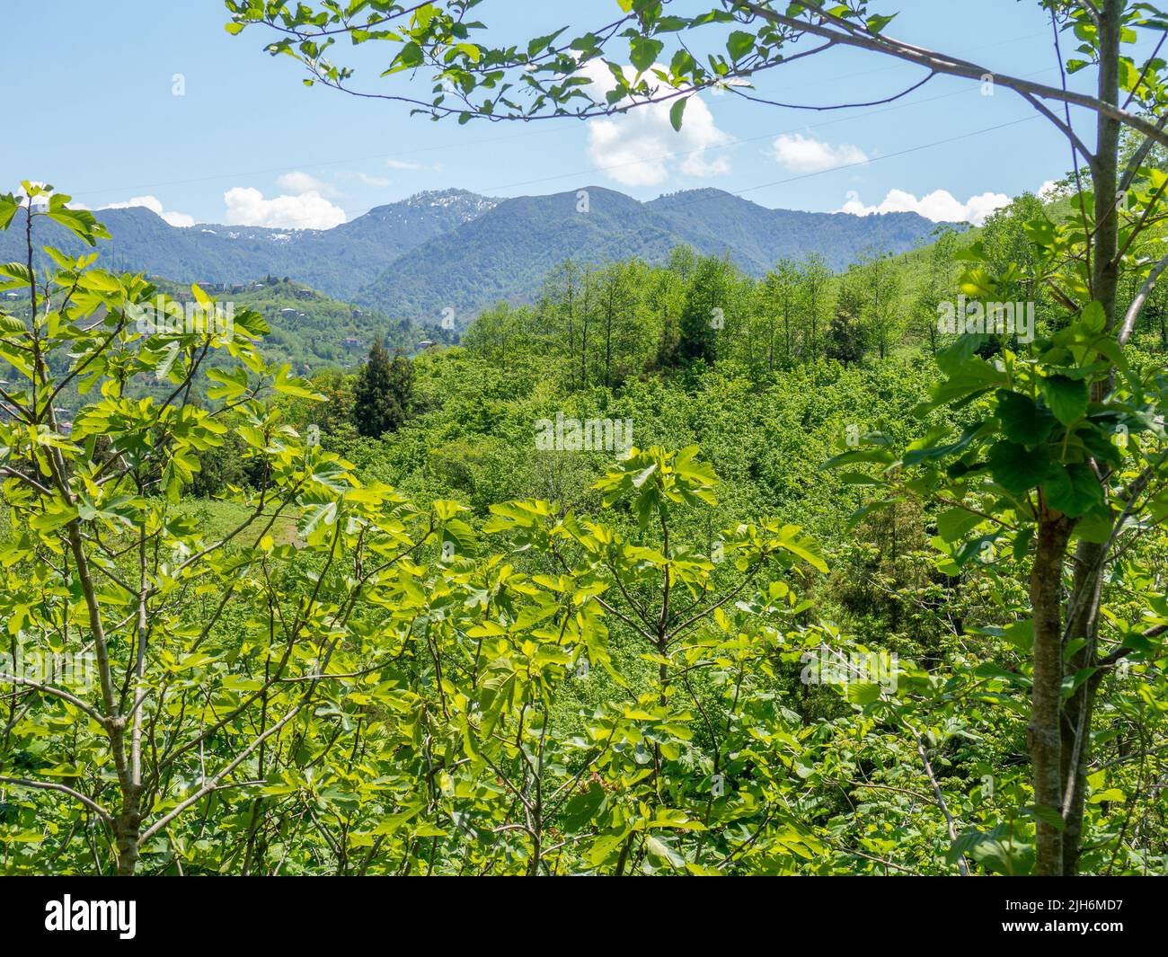 View of the green mountains. Beautiful mountain landscape. Nature in ...