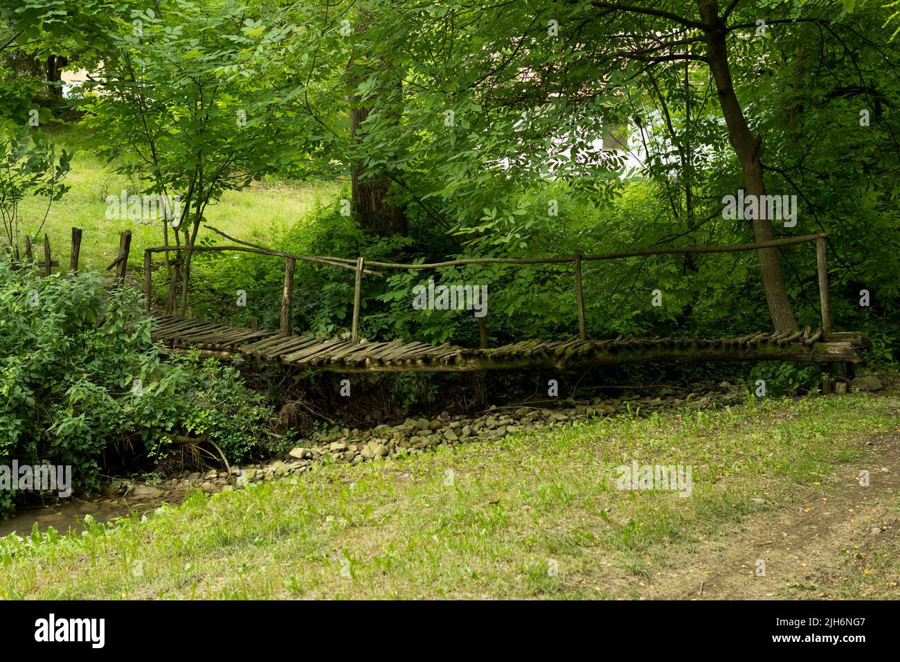 A small wooden footbridge over a stream in the forest on a sunny summer ...
