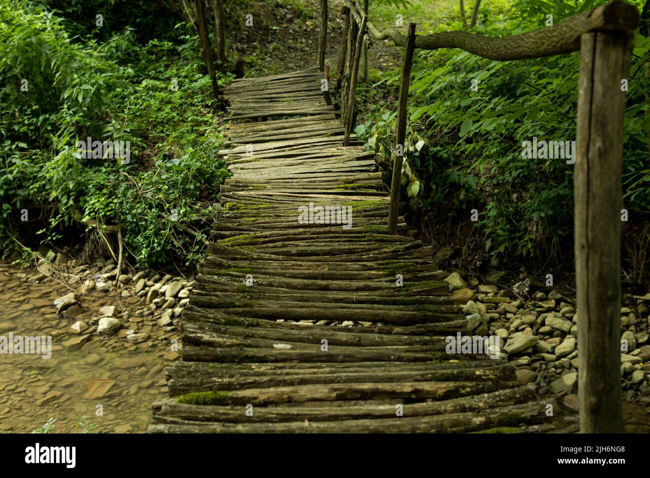 Footbridge over stream in the forest on summer day. The bridge is old ...