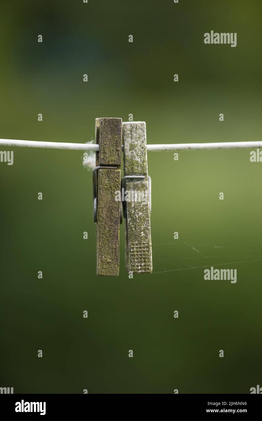 Old wooden clothespins laundry hi-res stock photography and images - Alamy