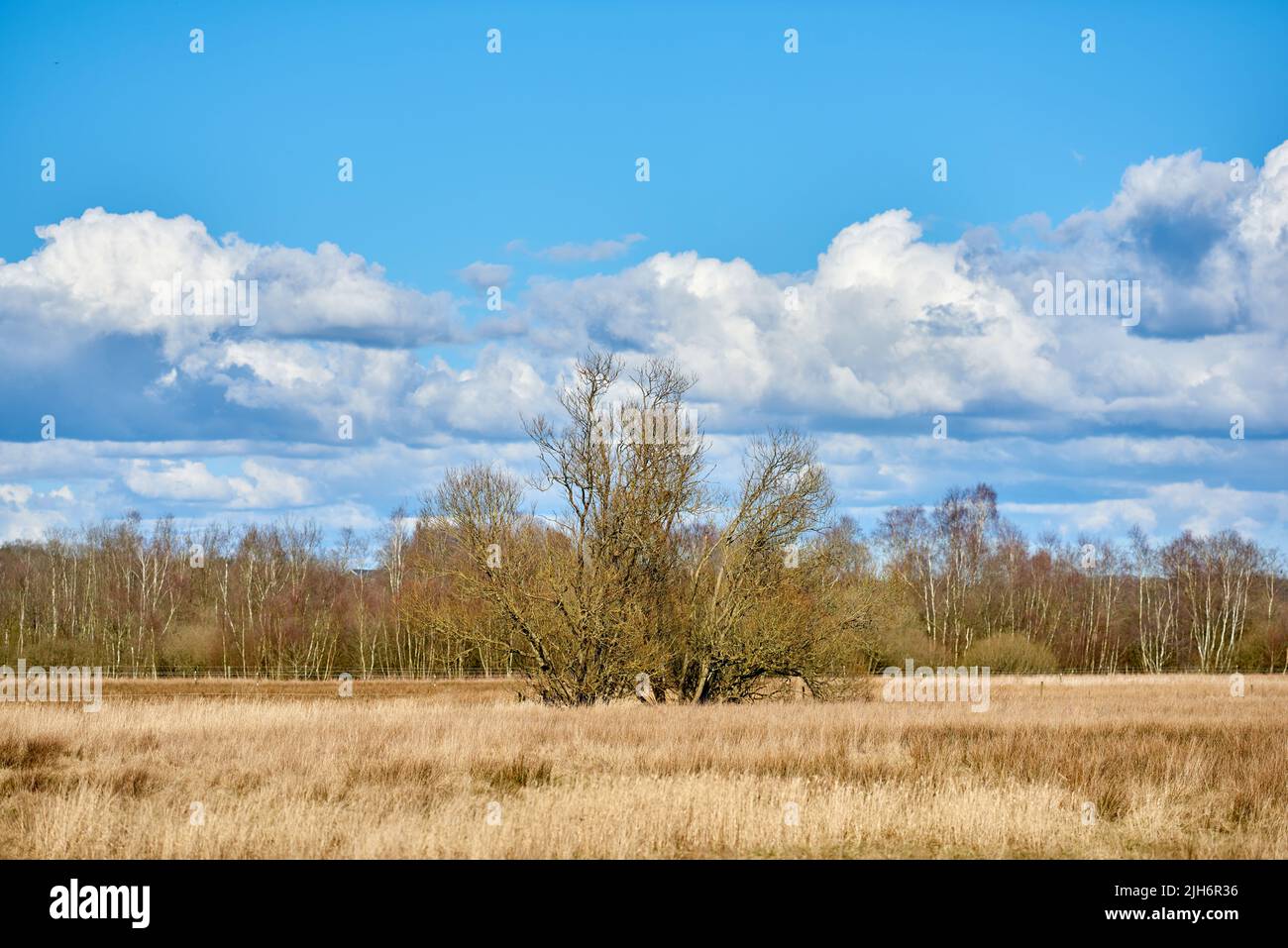 Thriving landscape hi-res stock photography and images - Alamy