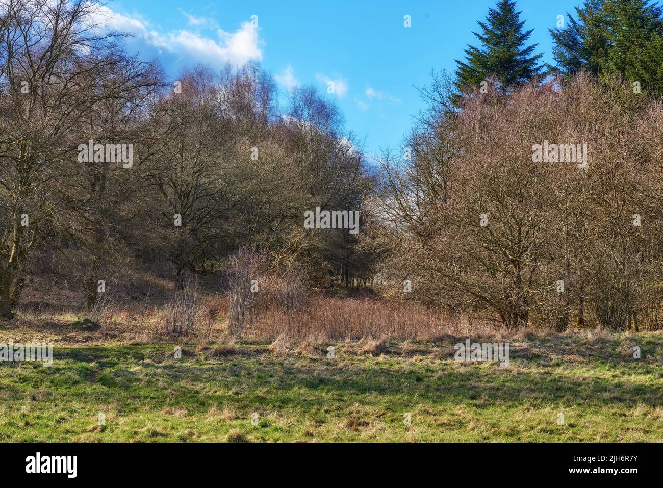 Empty green field landscape hi-res stock photography and images - Alamy