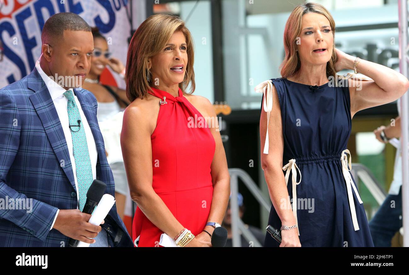 Today Show Hosts At The Citi Concert Series -PICTURED: Craig Melvin ...
