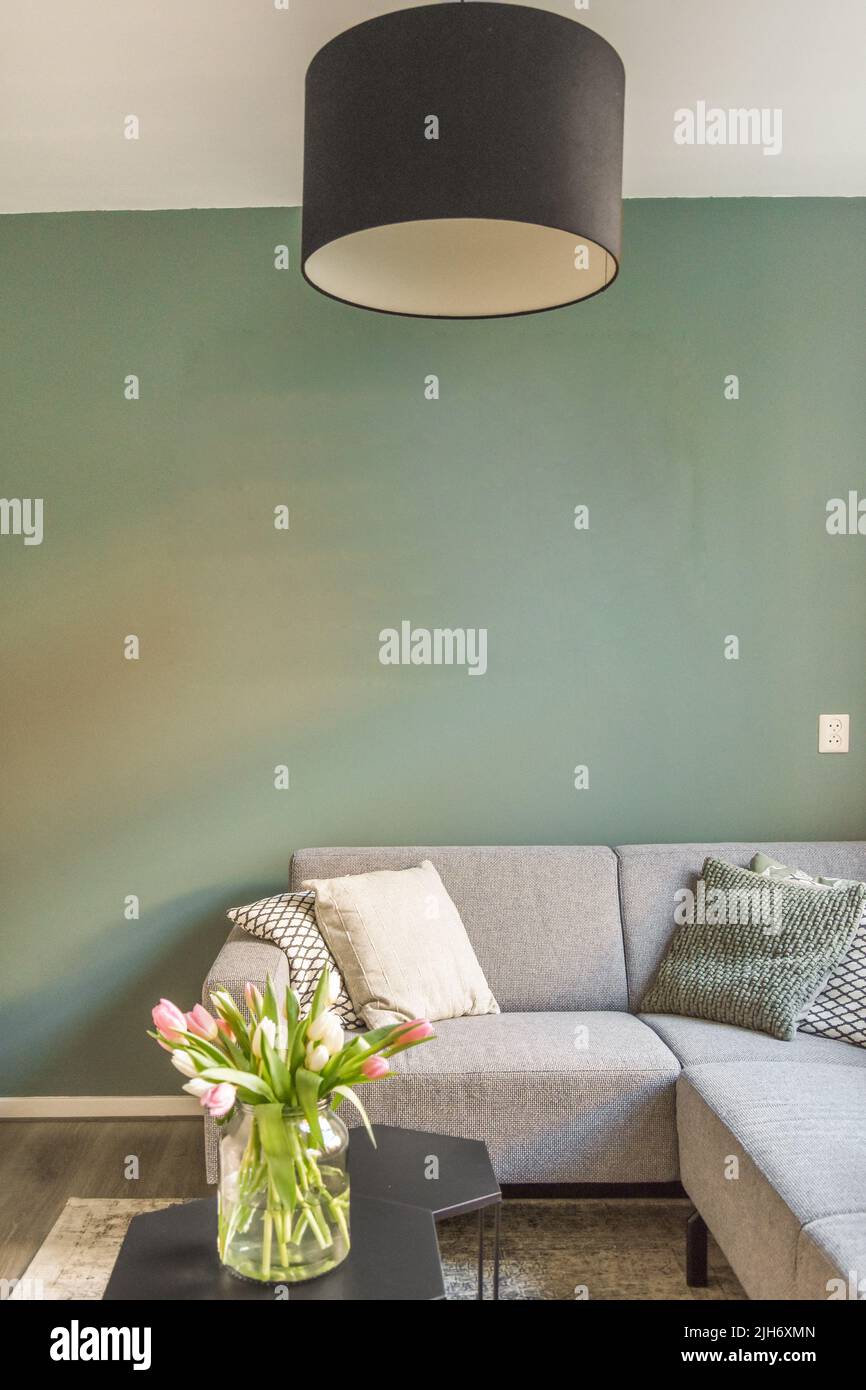 Studio apartment with white walls and open plan kitchen and dining zone ...