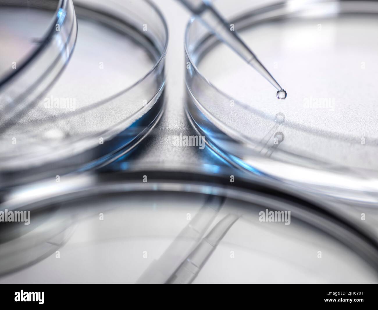 Analytical research lab sample hi-res stock photography and images - Alamy