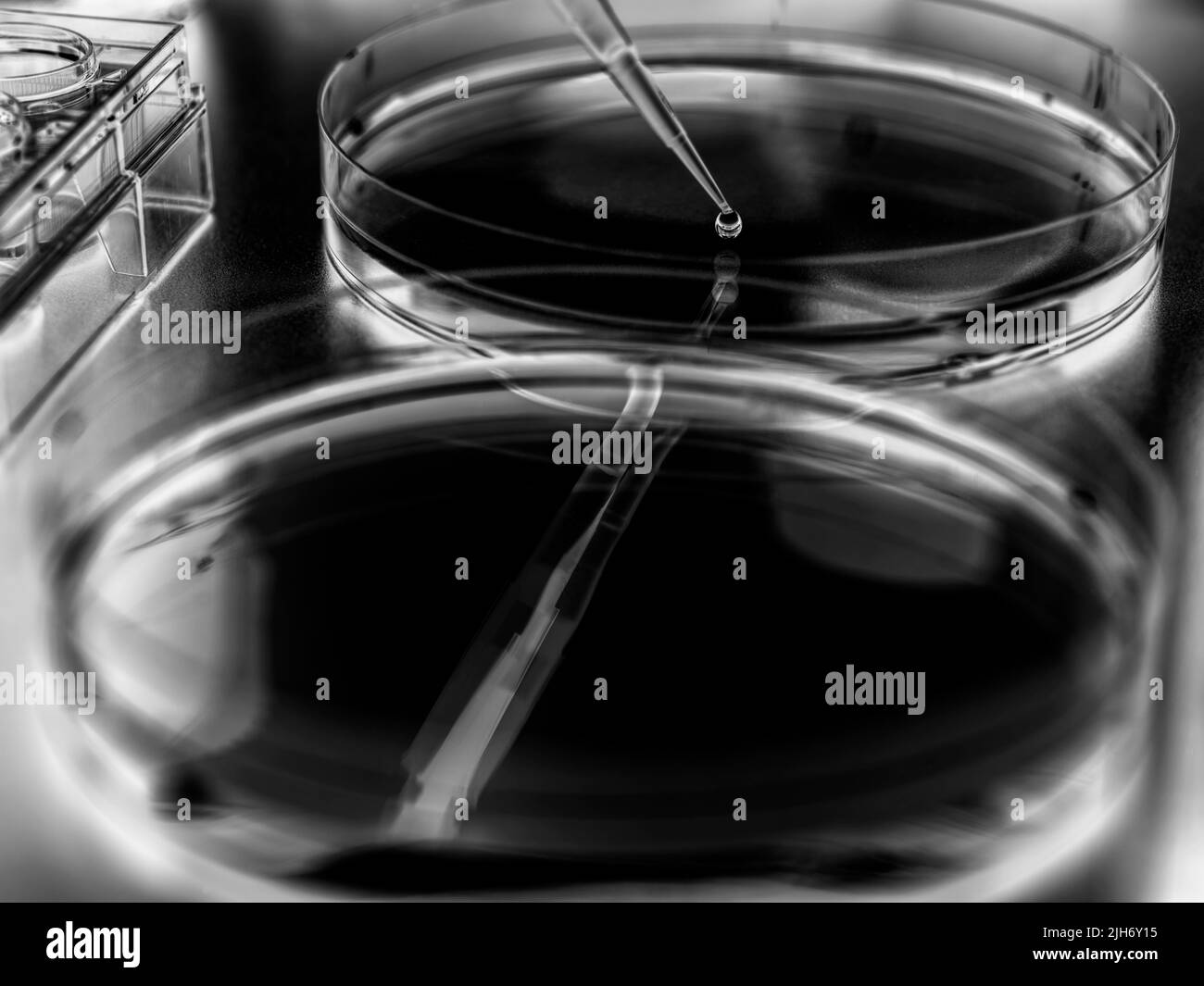 Chemistry Black And White Photography