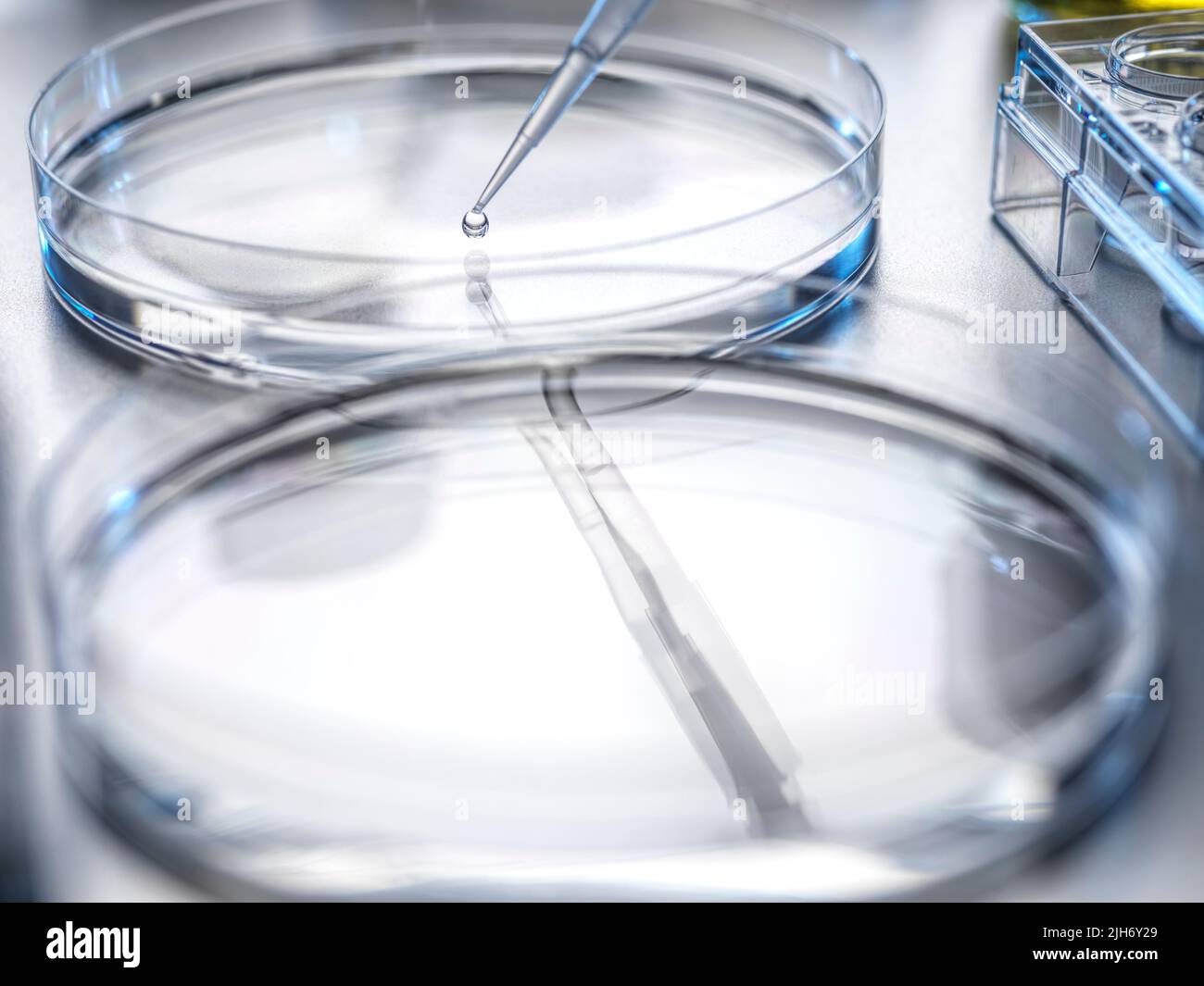 Analytical research lab sample hi-res stock photography and images - Alamy