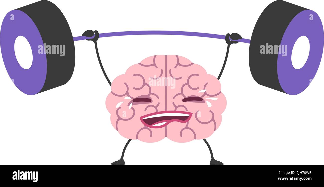 Active brain anatomy Cut Out Stock Images & Pictures - Alamy