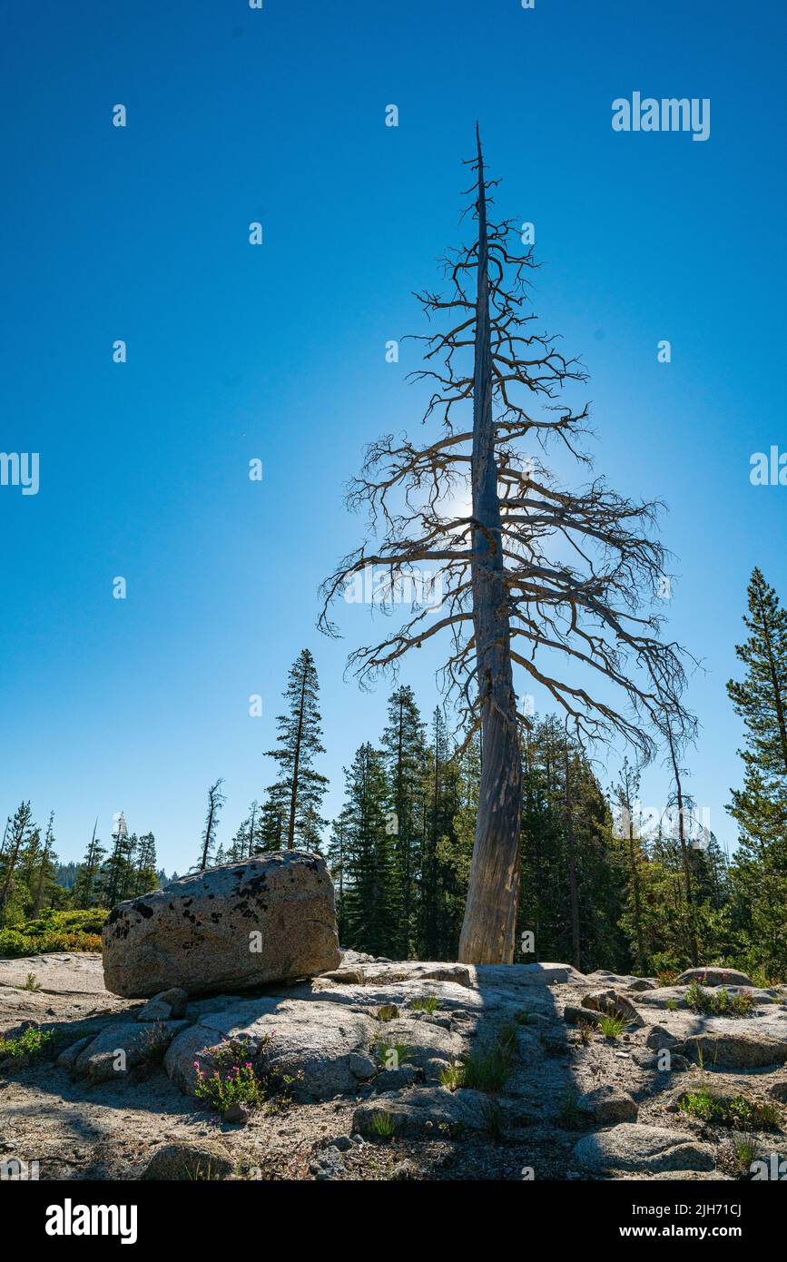 Donner pass sierra hi-res stock photography and images - Alamy