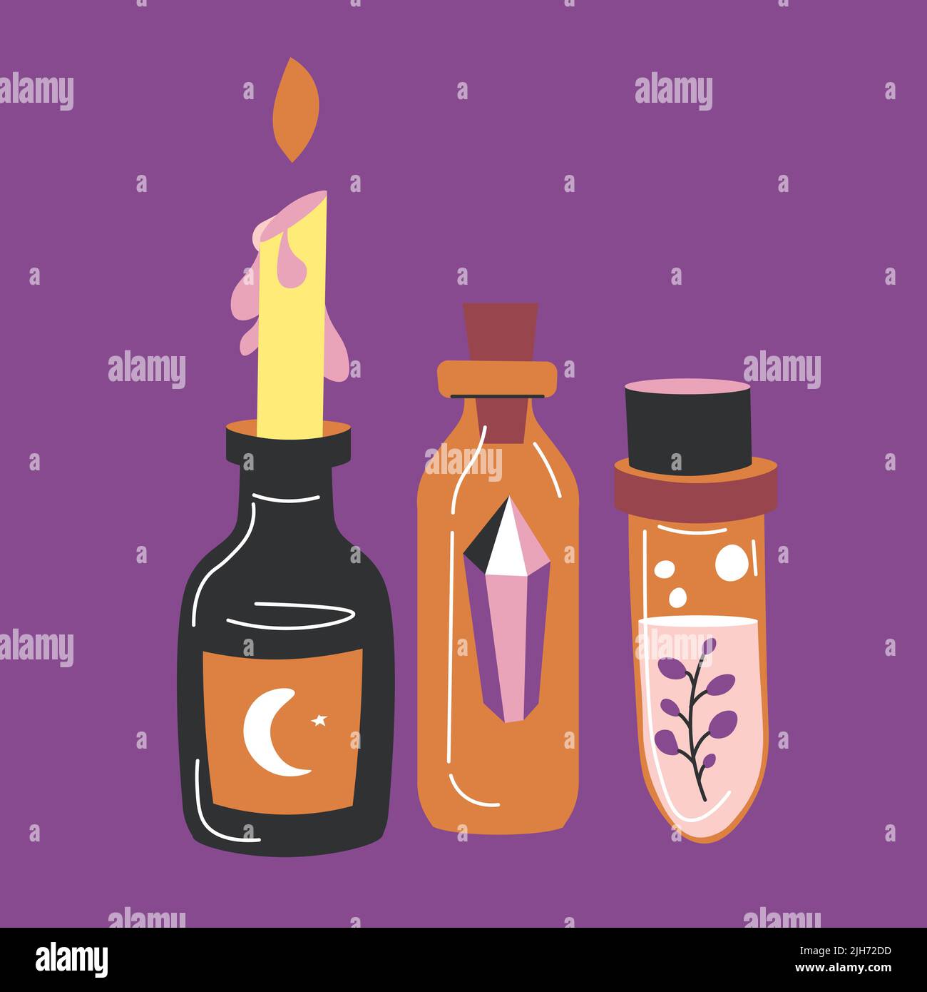 Magic ingredients for spells and witchcraft vector Stock Vector Image ...