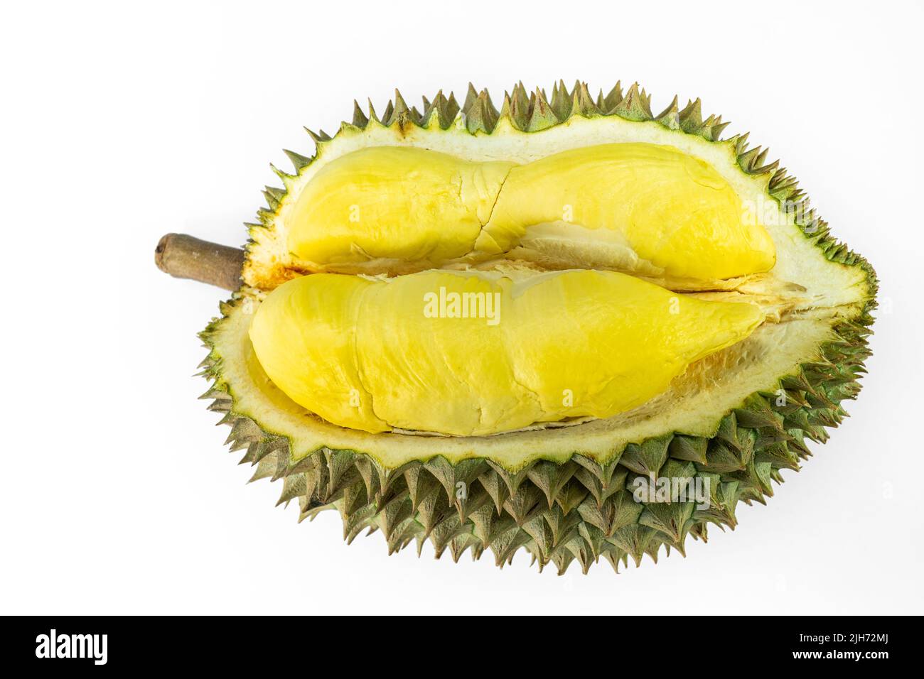 Durian Smell
