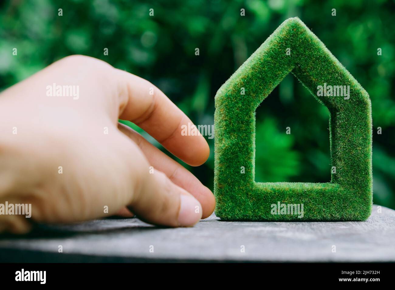 hand holding eco house icon in nature Stock Photo - Alamy