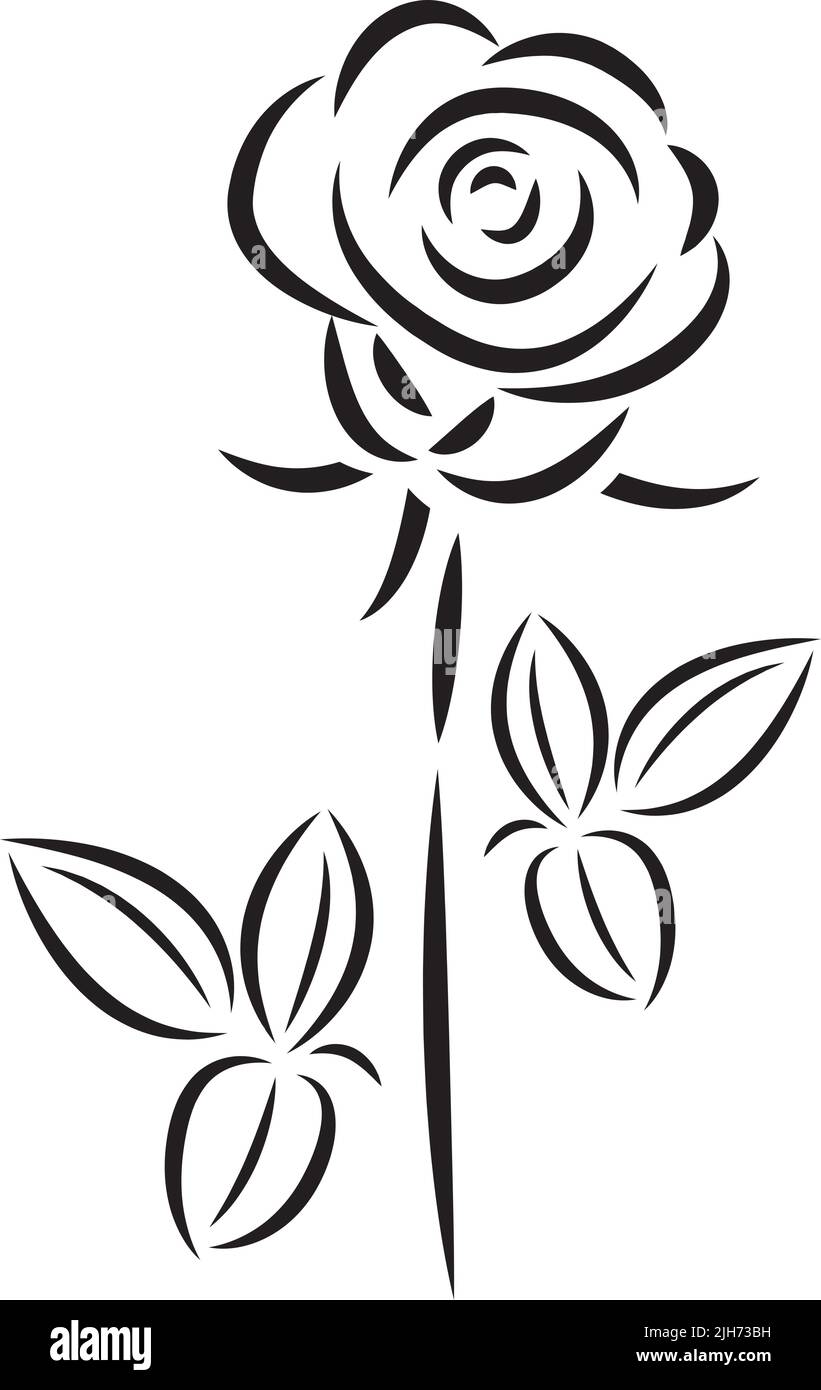 Roses flowers and leaves. Linear simple style Stock Vector Image & Art ...