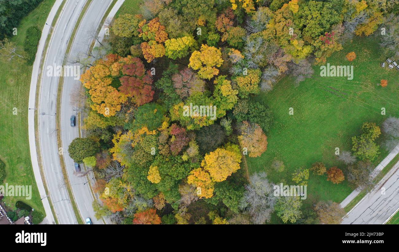 Drone view trees in autumn hi-res stock photography and images - Alamy