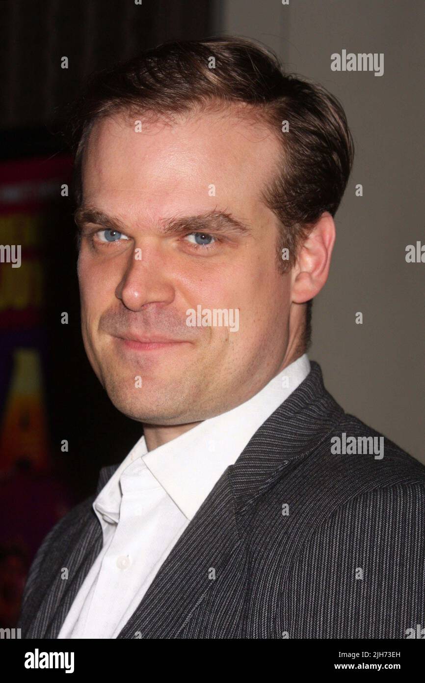David Harbour attends the opening night performance of the Manhattan ...