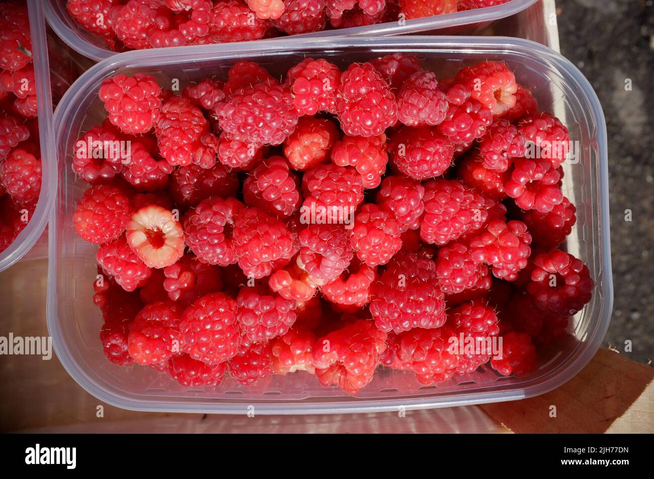 raspberries of Serbia in a plastic box Stock Photo - Alamy