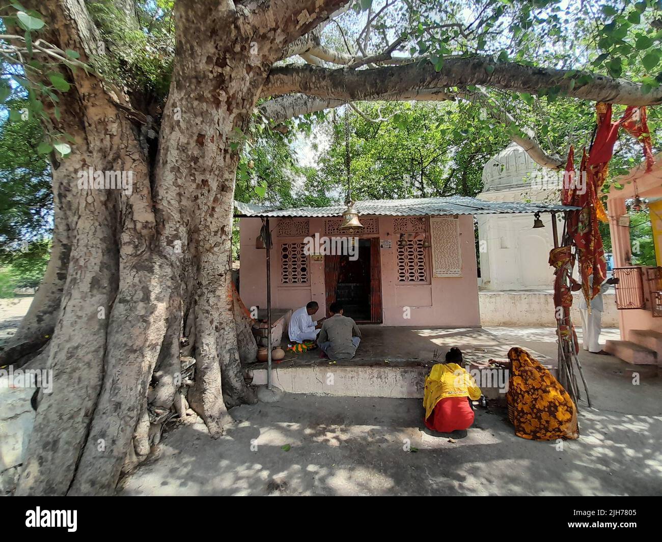 Hindu devotees gathered to celebrate and offer prayers to their Guru on ...