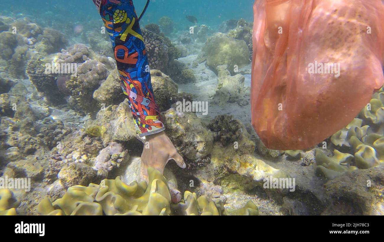 Woman in diving equipment swims and collects plastic debris underwater ...