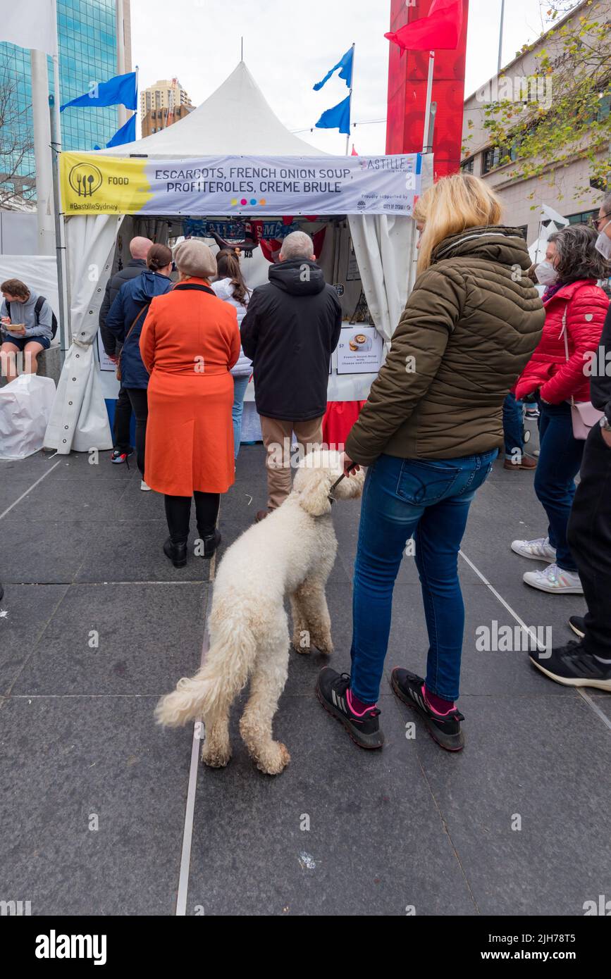 Australia customs dogs hi-res stock photography and images - Alamy