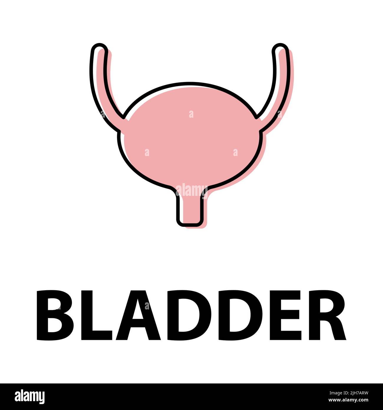 Urology health human icon, anatomy medical body bladder sign, biology ...