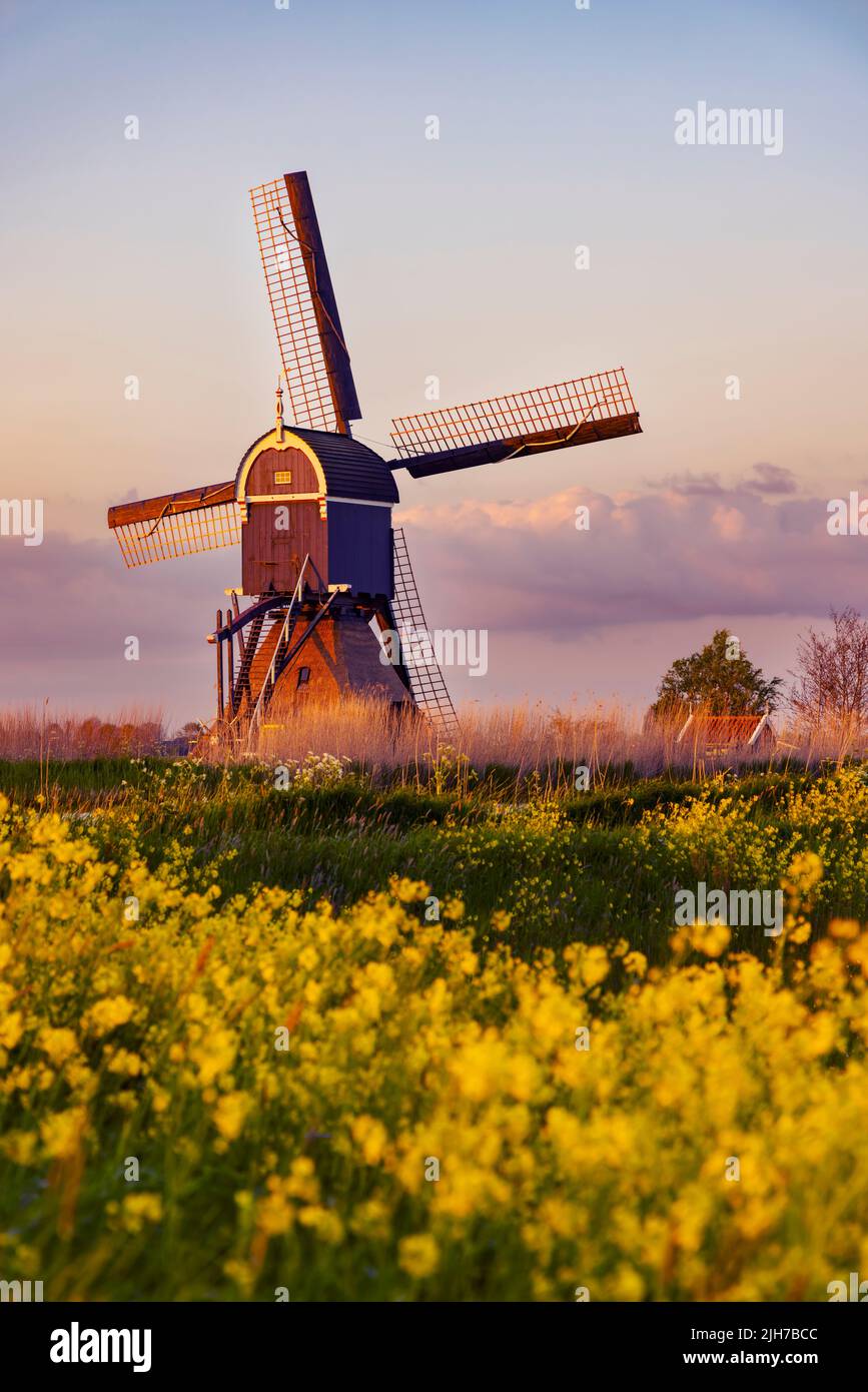 Windmill Broekmolen, Molenlanden - Nieuwpoort, The Netherlands Stock ...