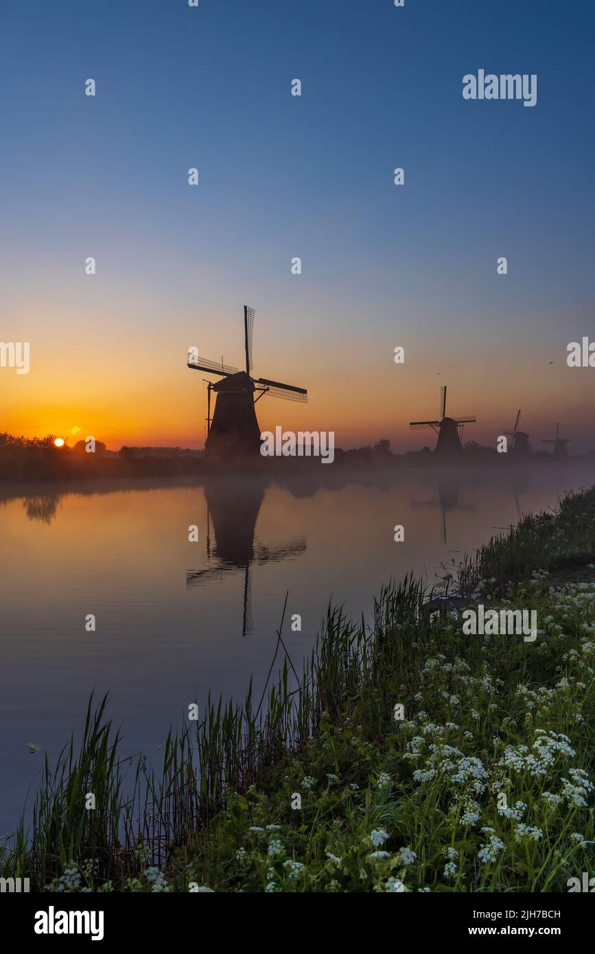 Traditional Dutch windmills with a colourful sky just before sunrise in ...