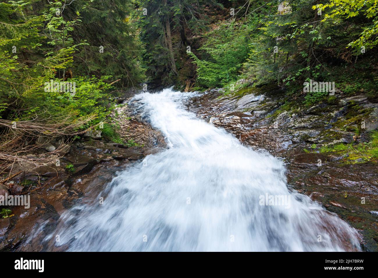 Fresh cool water from a mountain small fast stream runs among wet rocky ...