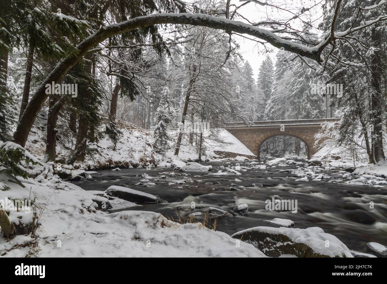 Divoka Orlice river in Zemska brana, Orlicke mountains, Eastern Bohemia ...
