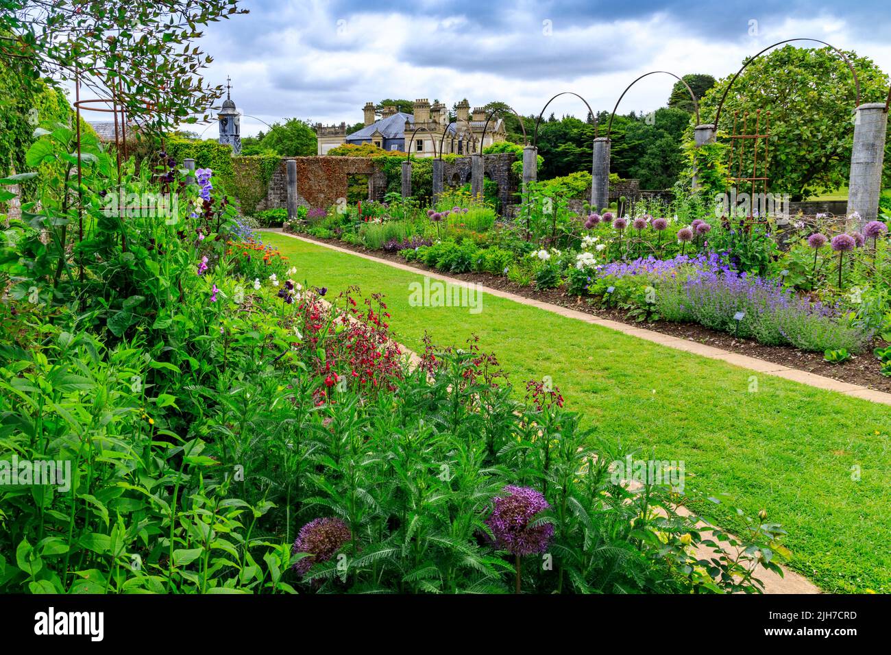 Colourful herbaceous borders in the Dyffryn House estate, nr Cardiff ...