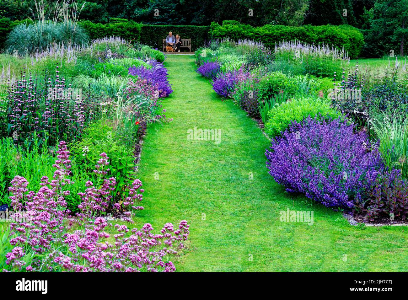 A colourful display of pinks and purples in one of the borders on the ...