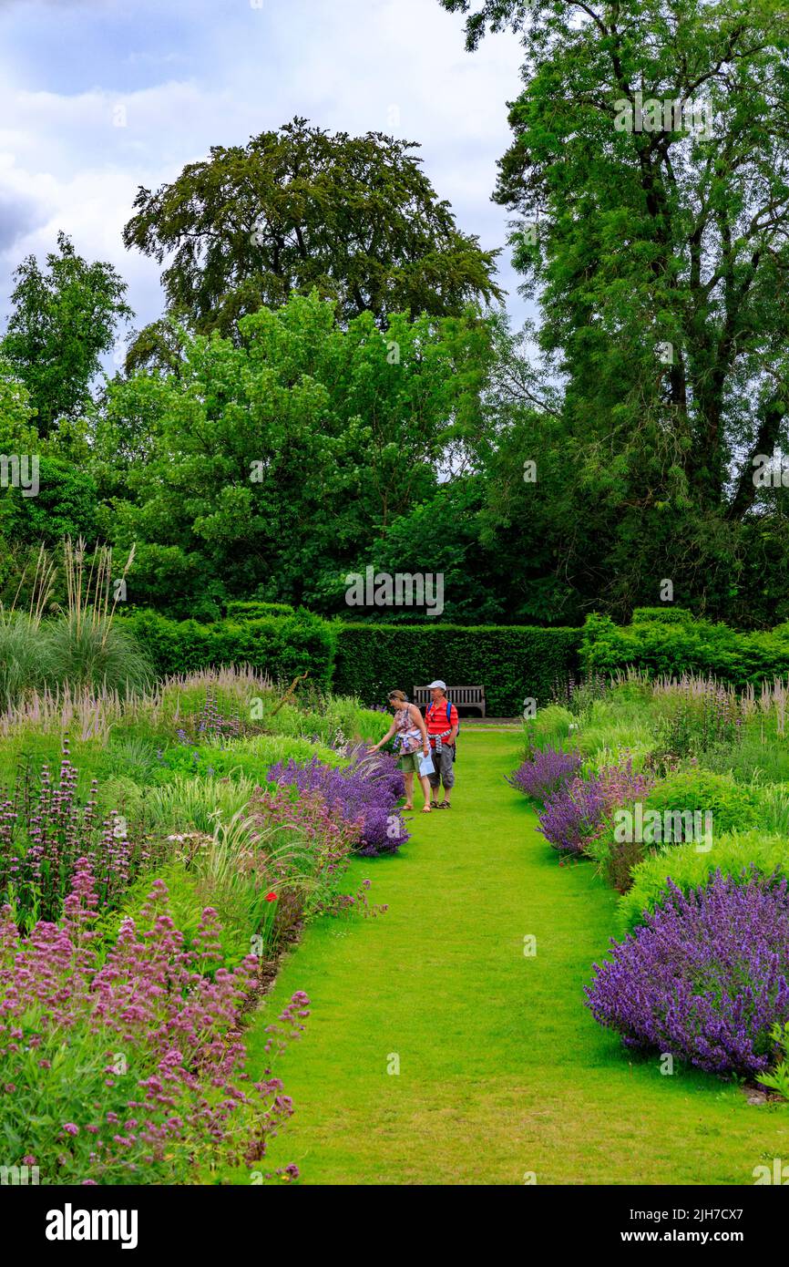 A colourful display of pinks and purples in one of the borders on the ...