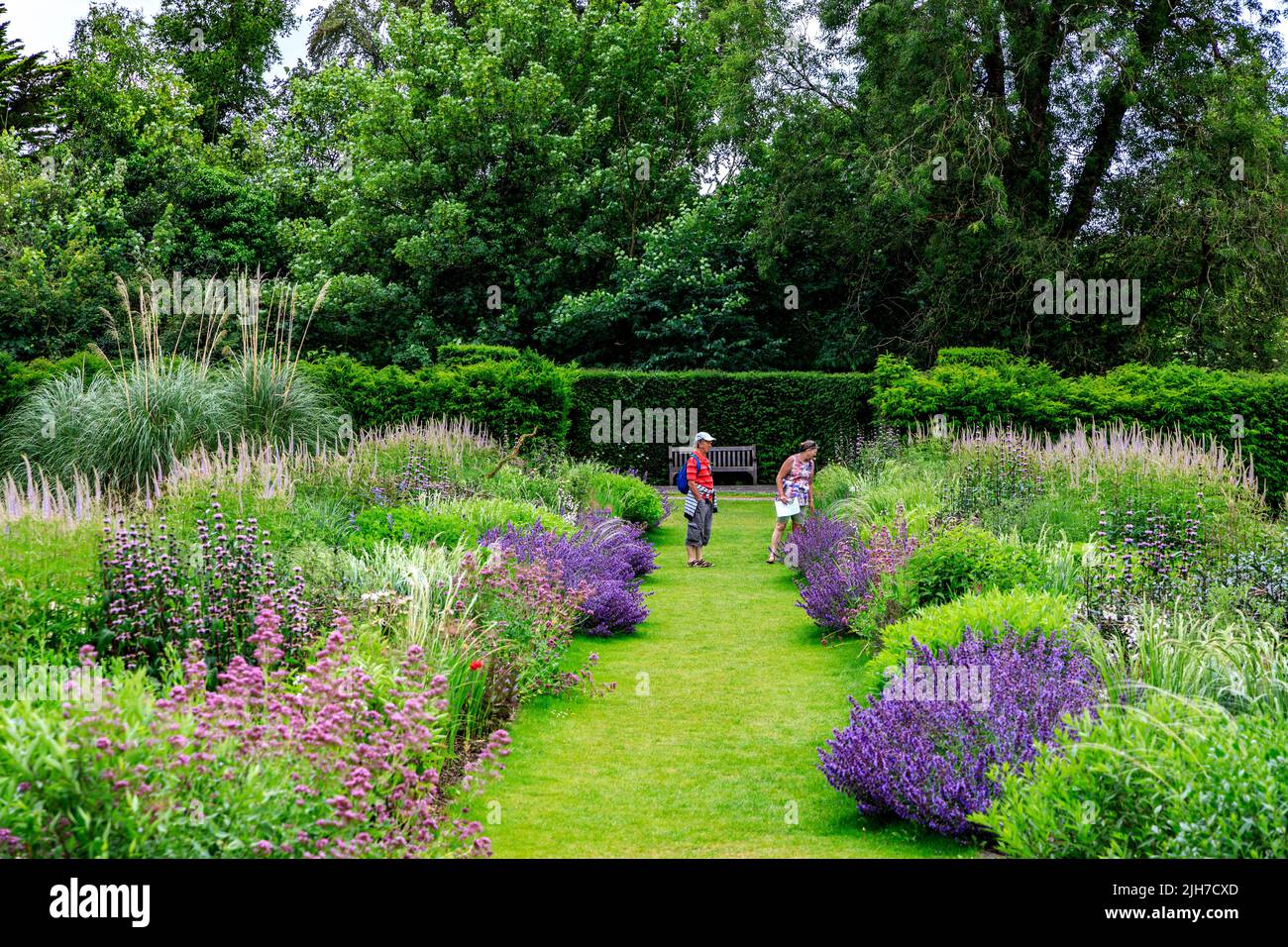A colourful display of pinks and purples in one of the borders on the ...