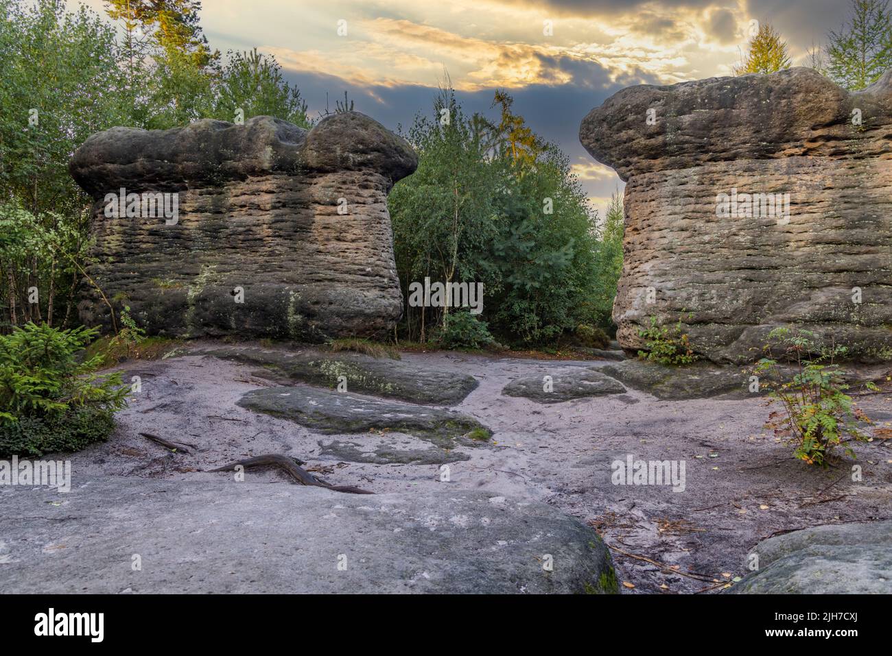 Stone mushrooms in a nature reserve Broumovske steny, eastern Bohemia ...
