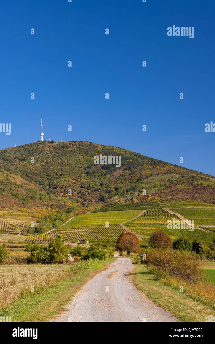 Tokaji landscape hi-res stock photography and images - Alamy