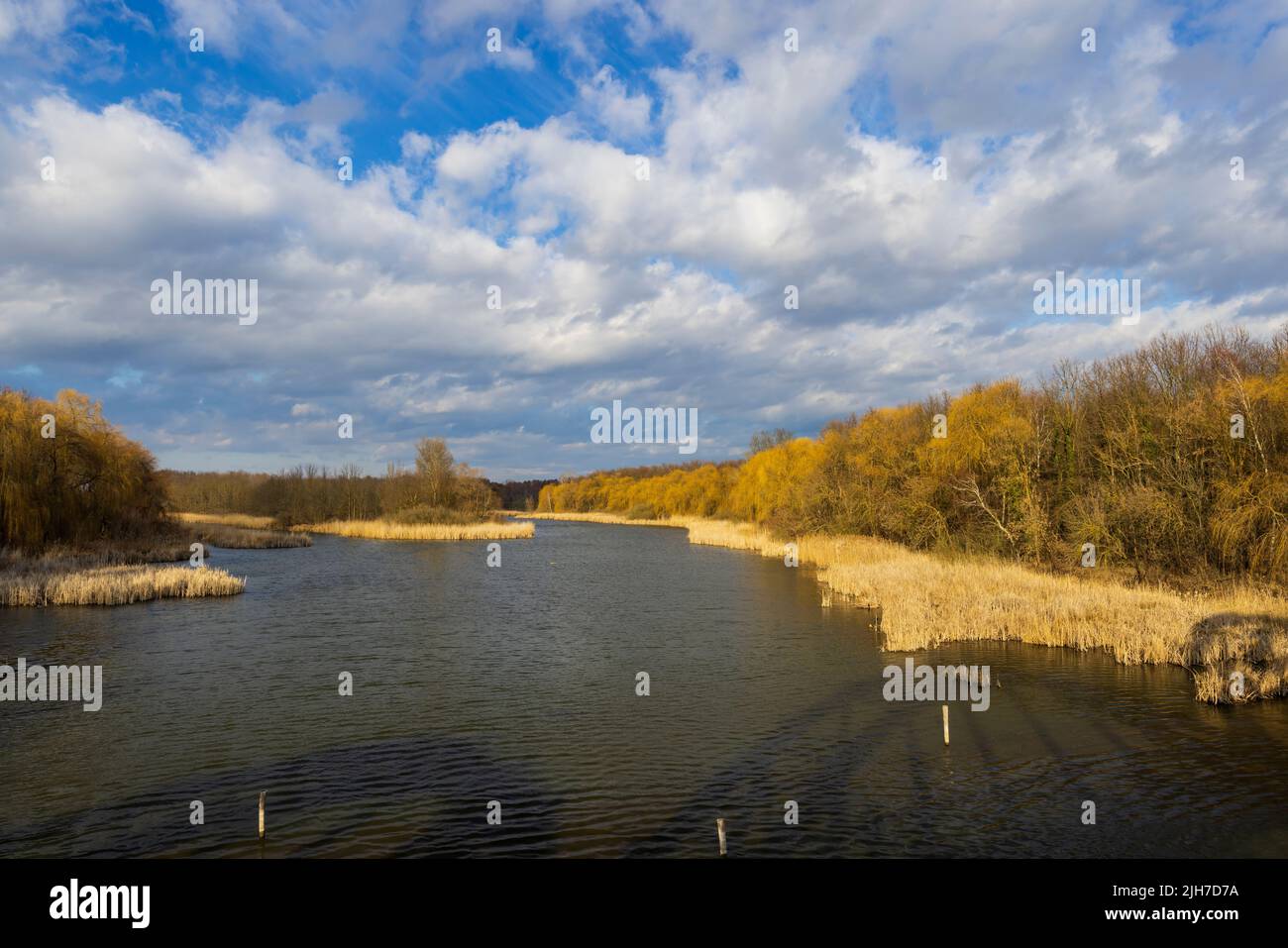 Balaton-felvideki nature reserve, Kis-Balaton, Transdanubia, Hungary ...