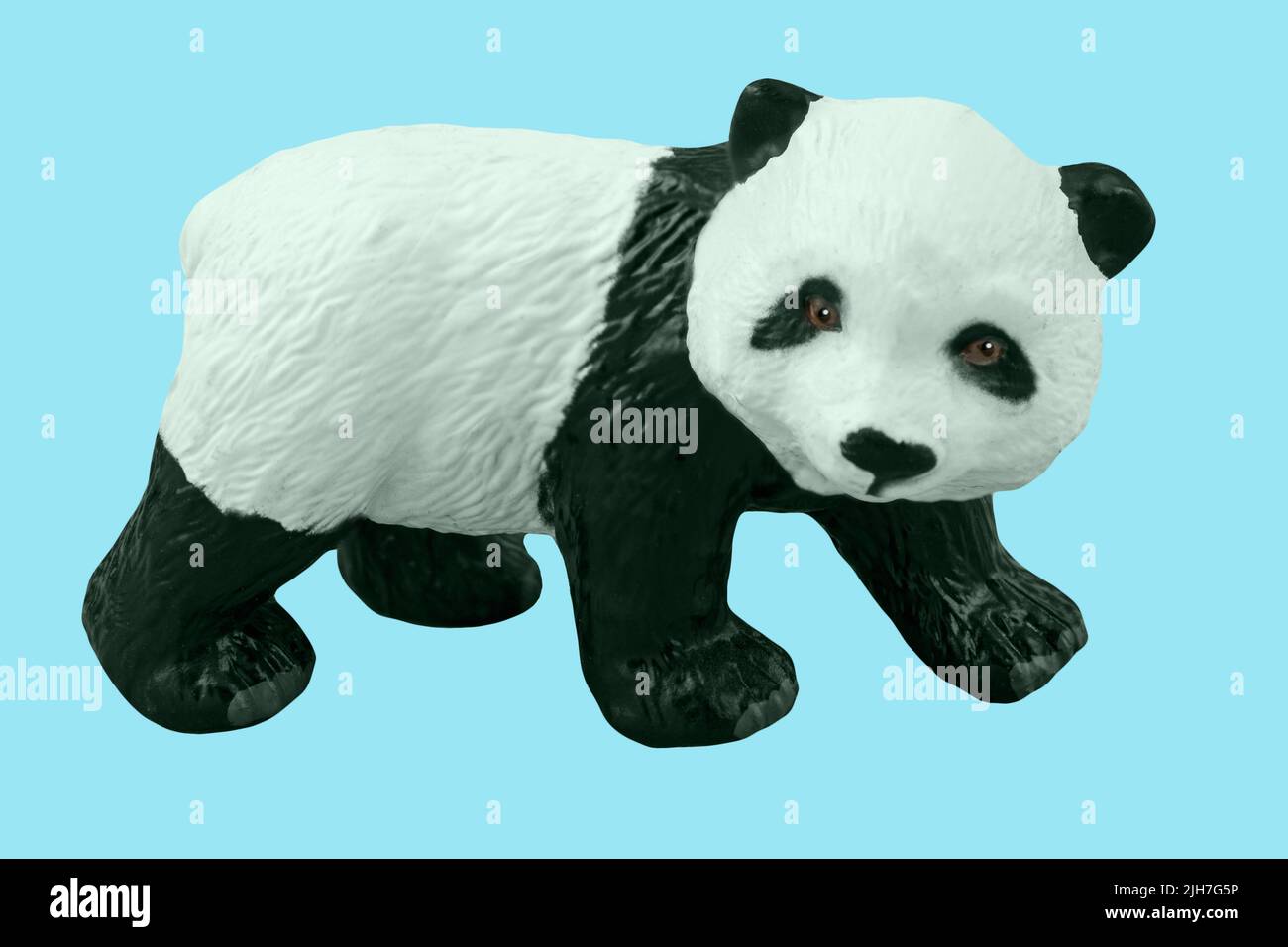 Panda toy on blue background Stock Photo - Alamy