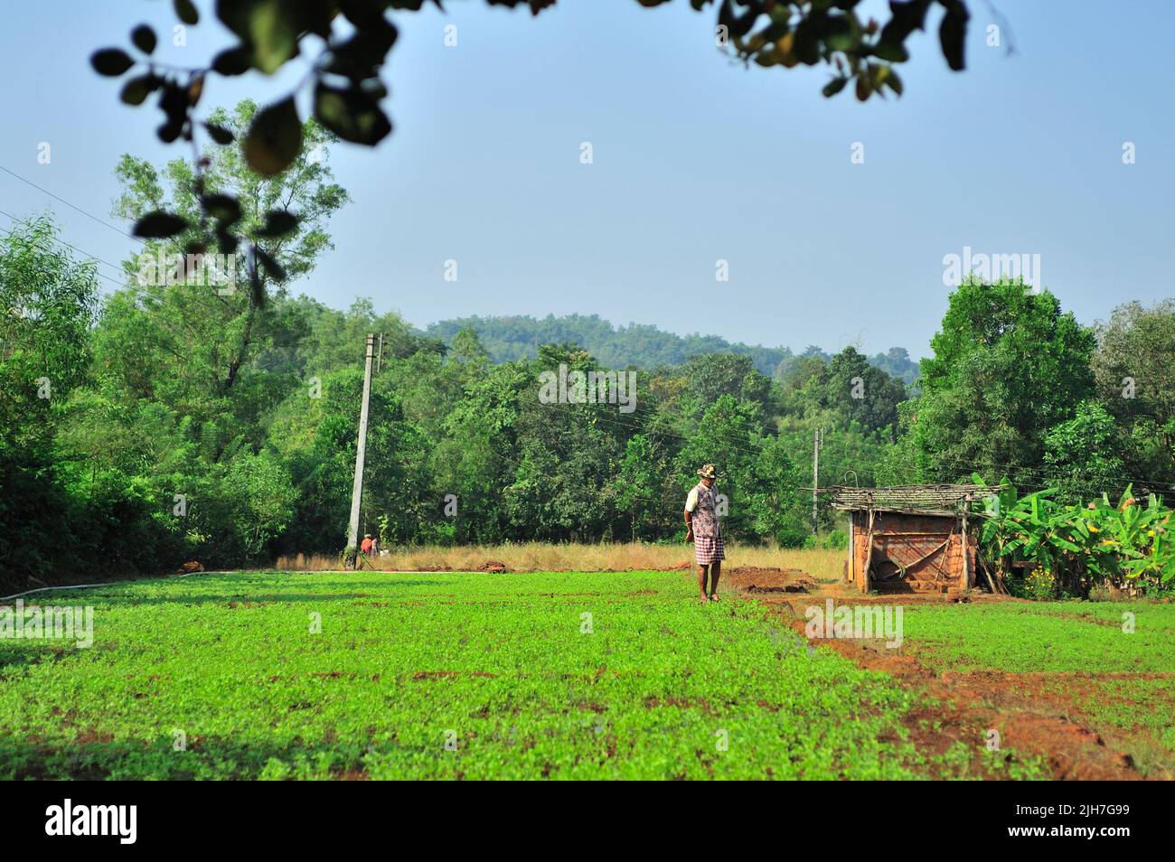 Inspecting village hi-res stock photography and images - Alamy