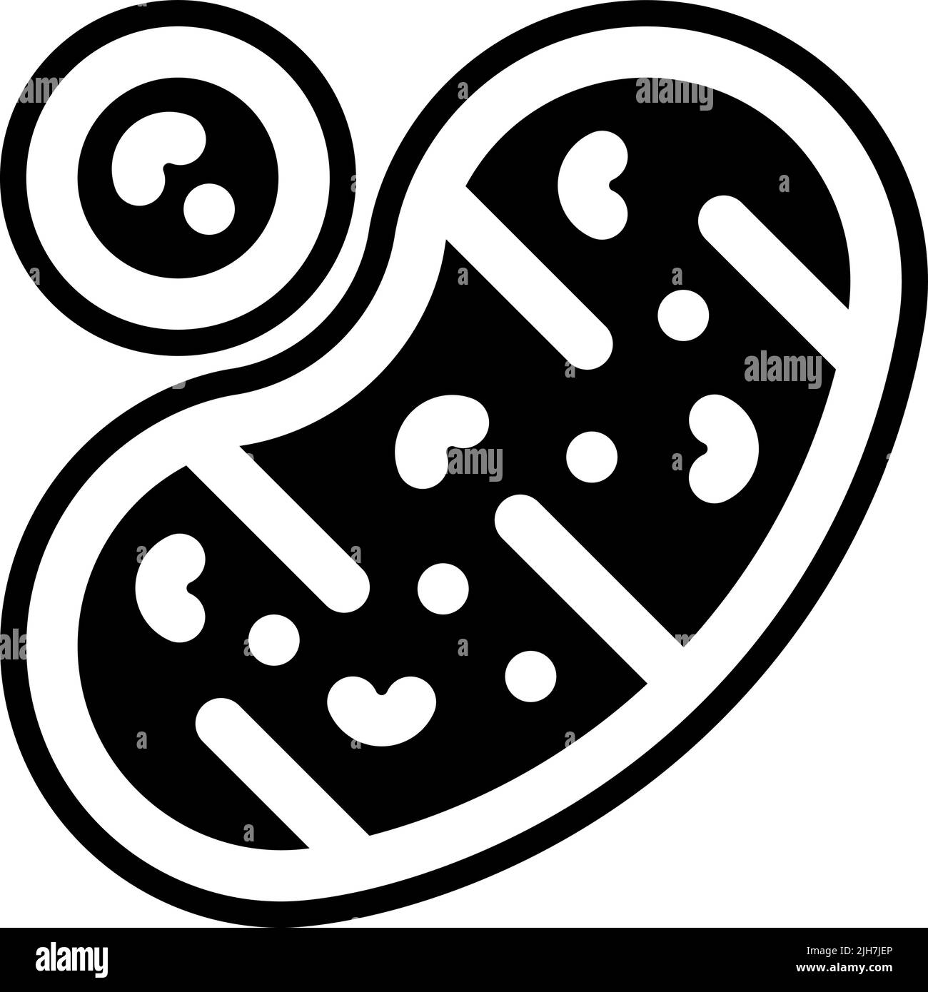 Ribosomes mitochondria hi-res stock photography and images - Alamy