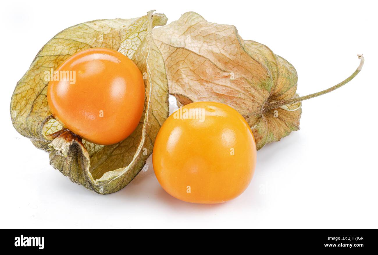Ripe physalis or golden berry fruits in calyx isolated on white ...